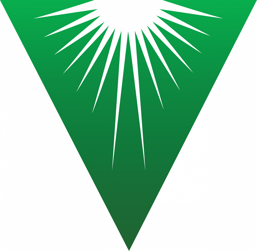 Vantage Management - The Vantage Group